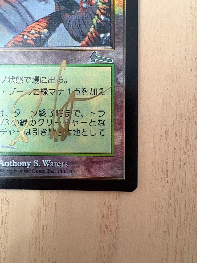 mtg 樹上の村 foil サインド