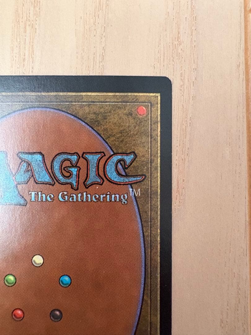 mtg 樹上の村 foil サインド