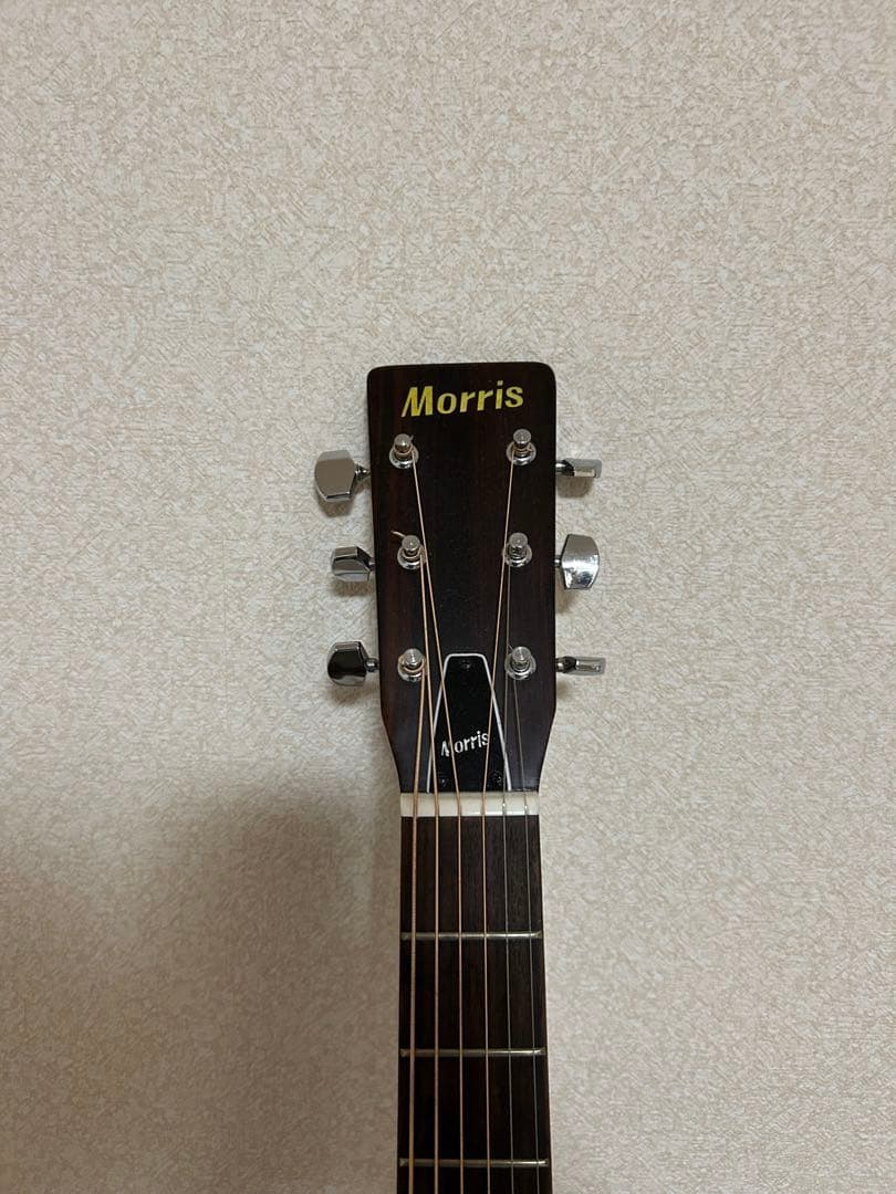 Morris W-15 アコースティックギター
