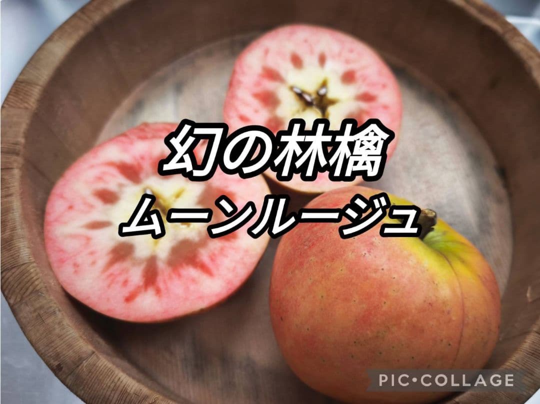 激レアりんご☆選択可【ムーンルージュ他数品種から8個】＋フジ/あいかの香り2キロ
