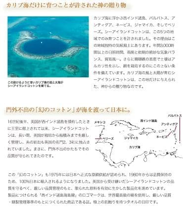 UCHINO 繊維の宝石海島綿 グレイスフル ゲストタオル