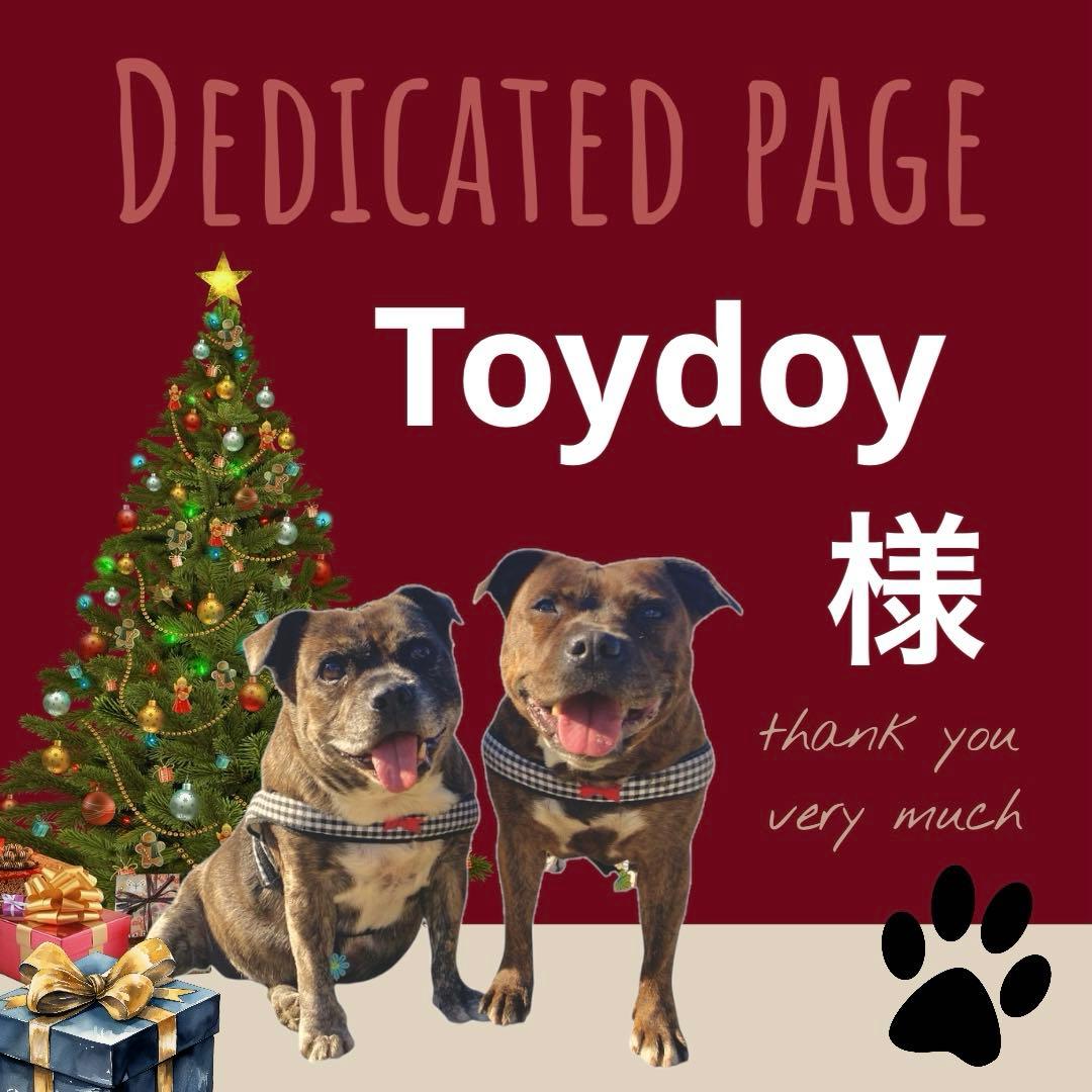 その他 Toydoy