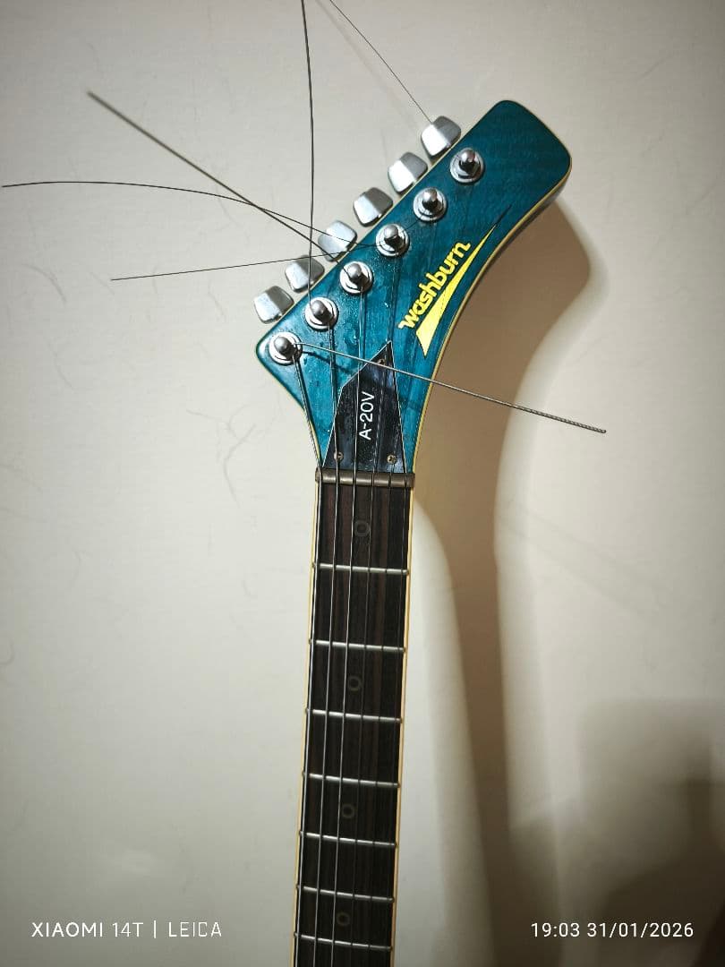 【極希少色1983年製Washburn A-20V StagTeal Green