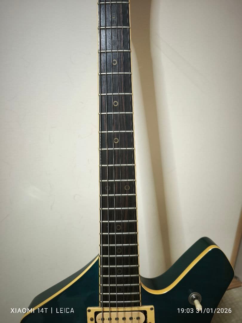 【極希少色1983年製Washburn A-20V StagTeal Green