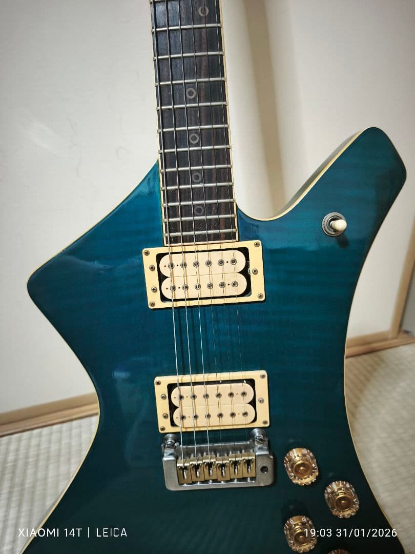 【極希少色1983年製Washburn A-20V StagTeal Green