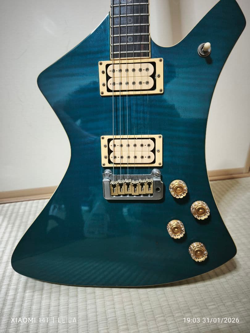 【極希少色1983年製Washburn A-20V StagTeal Green
