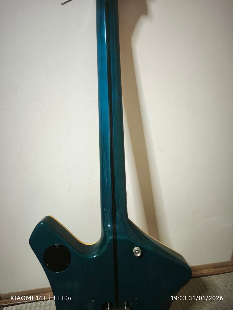 【極希少色1983年製Washburn A-20V StagTeal Green
