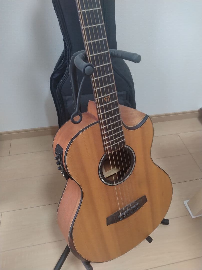 TRAVELLER GUITARS アコースティックギター