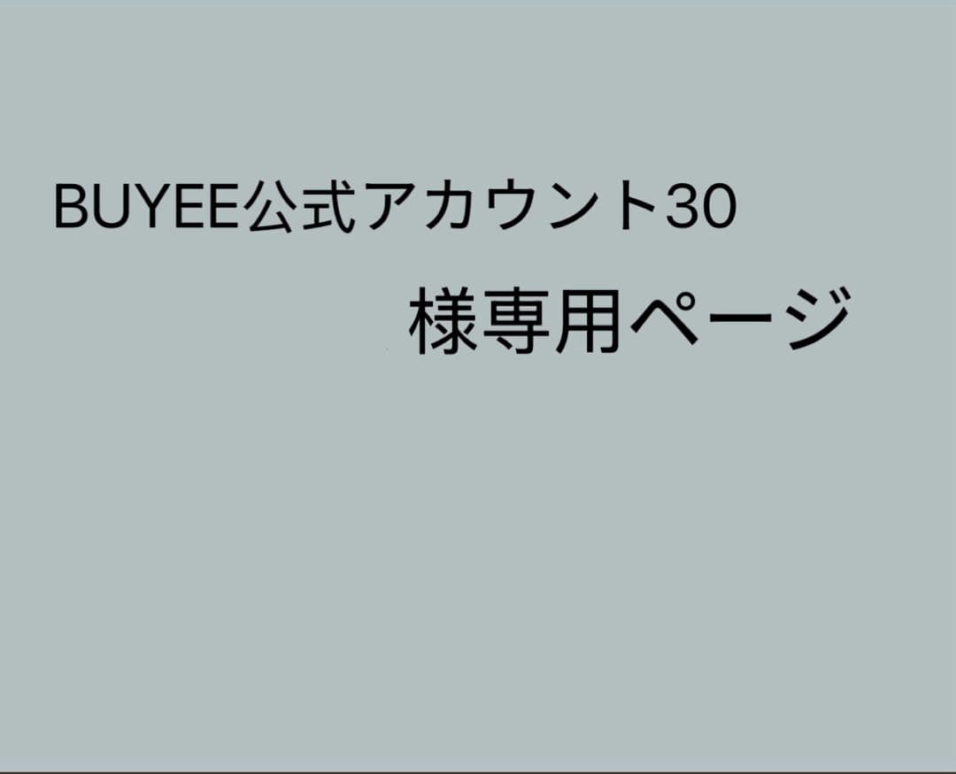 BUYEE公式アカウント30専用ページ