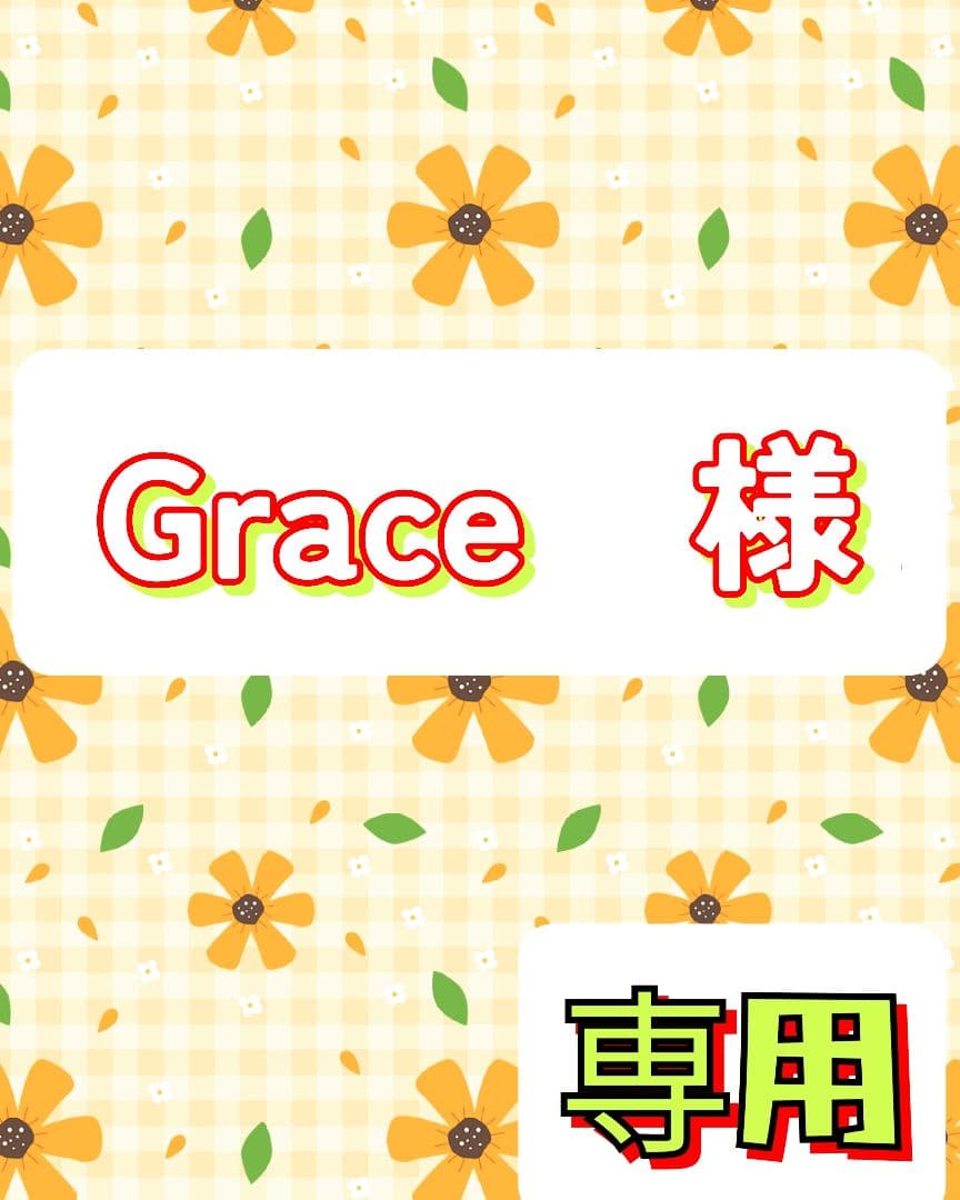【Grace　様】専用　キウイドライフルーツ　乾燥野菜・菊芋・きのこ