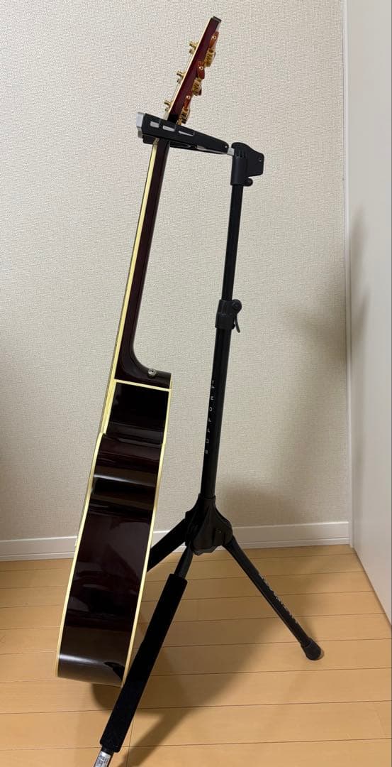 ギター Takamine DMP50S WR