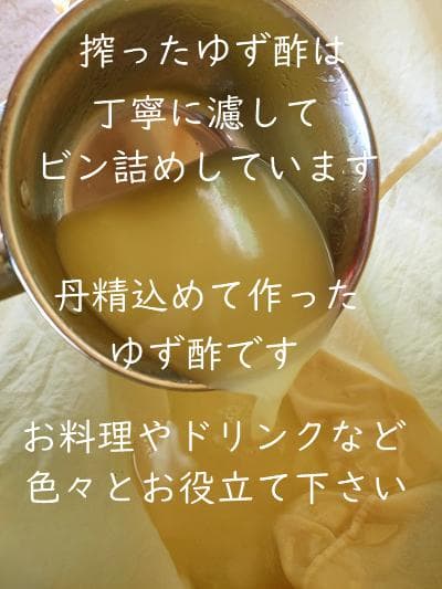 柚のや★送料込★高知県産ゆず酢900ml 6本 熟しぼり★農薬不使用★柚子酢