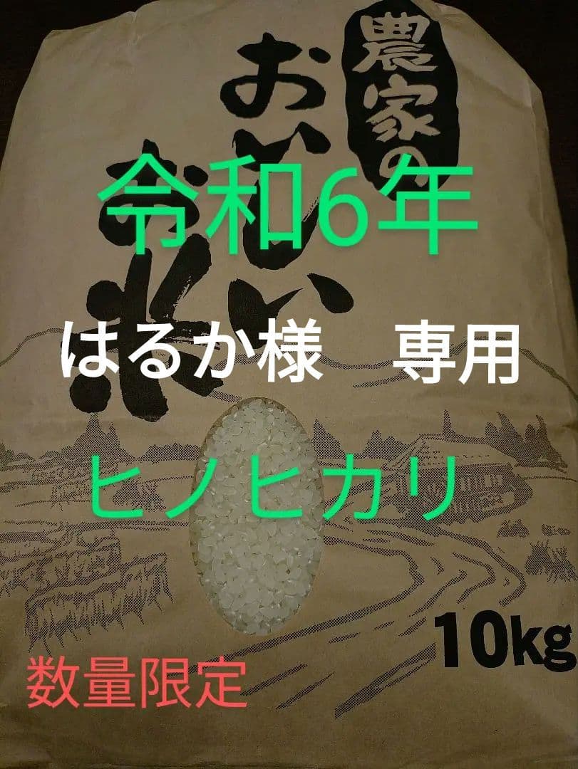 ヒノヒカリ 令和6年産 10kg 数量限定米