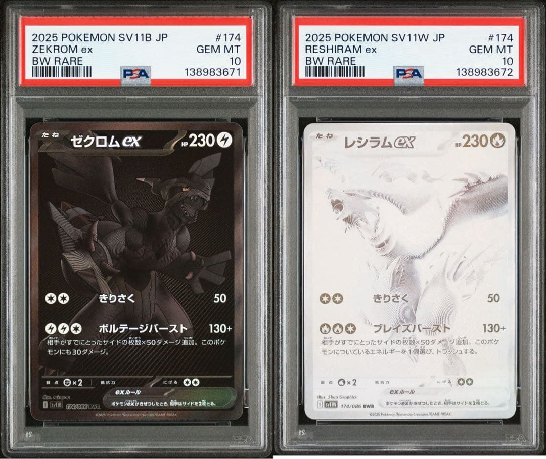 [PSA10] ゼクロム レシラム 2連番 BWR 174 SAR