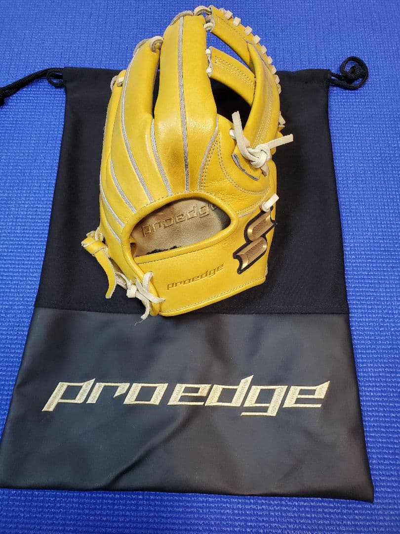 SSK Proedge 硬式 グローブ ケース付き