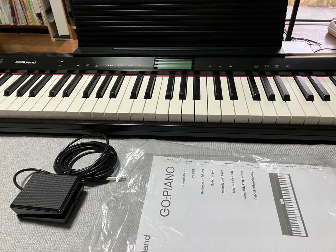 roland GO-61P 24年製