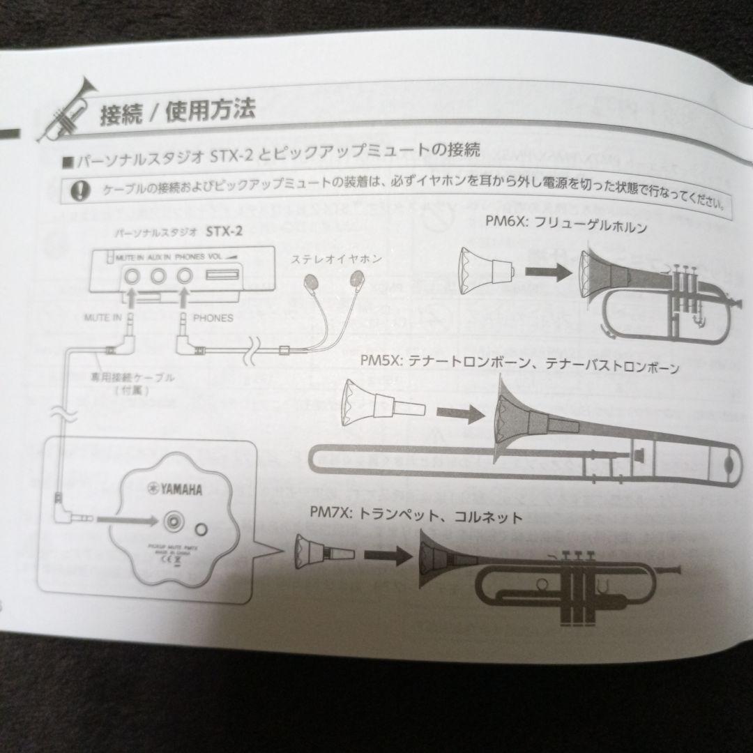 C管 ポケットランペット キャロルブラス QueenBrassサイレントブラス付