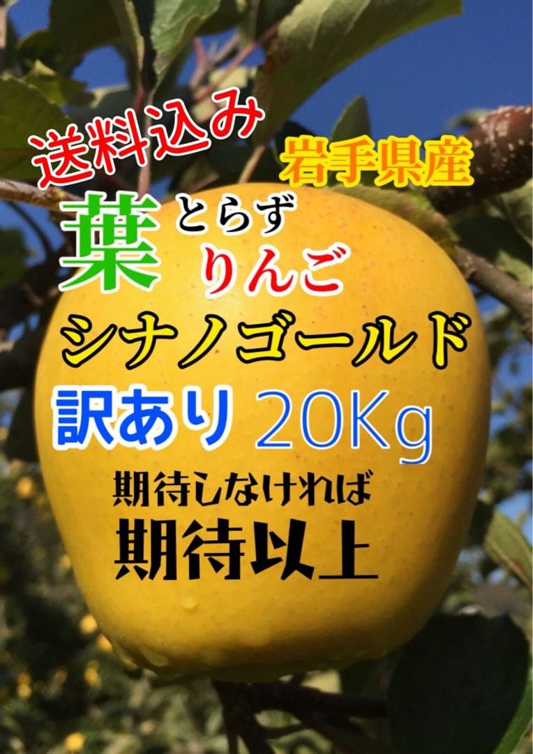 【加工用】葉とらずりんご シナノゴールド20kg