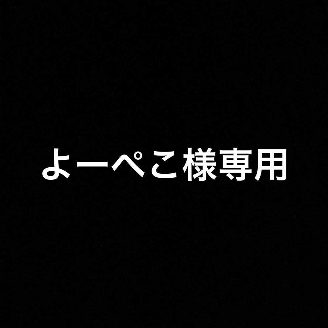 パナソニックバッテリーn80