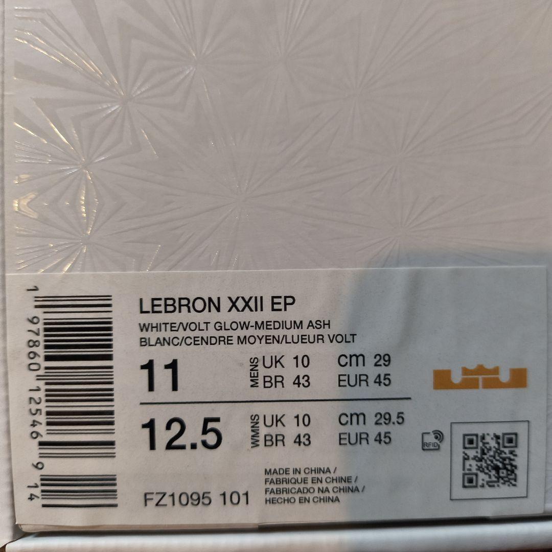 シューズ(男性用) LEBRON22 29cm