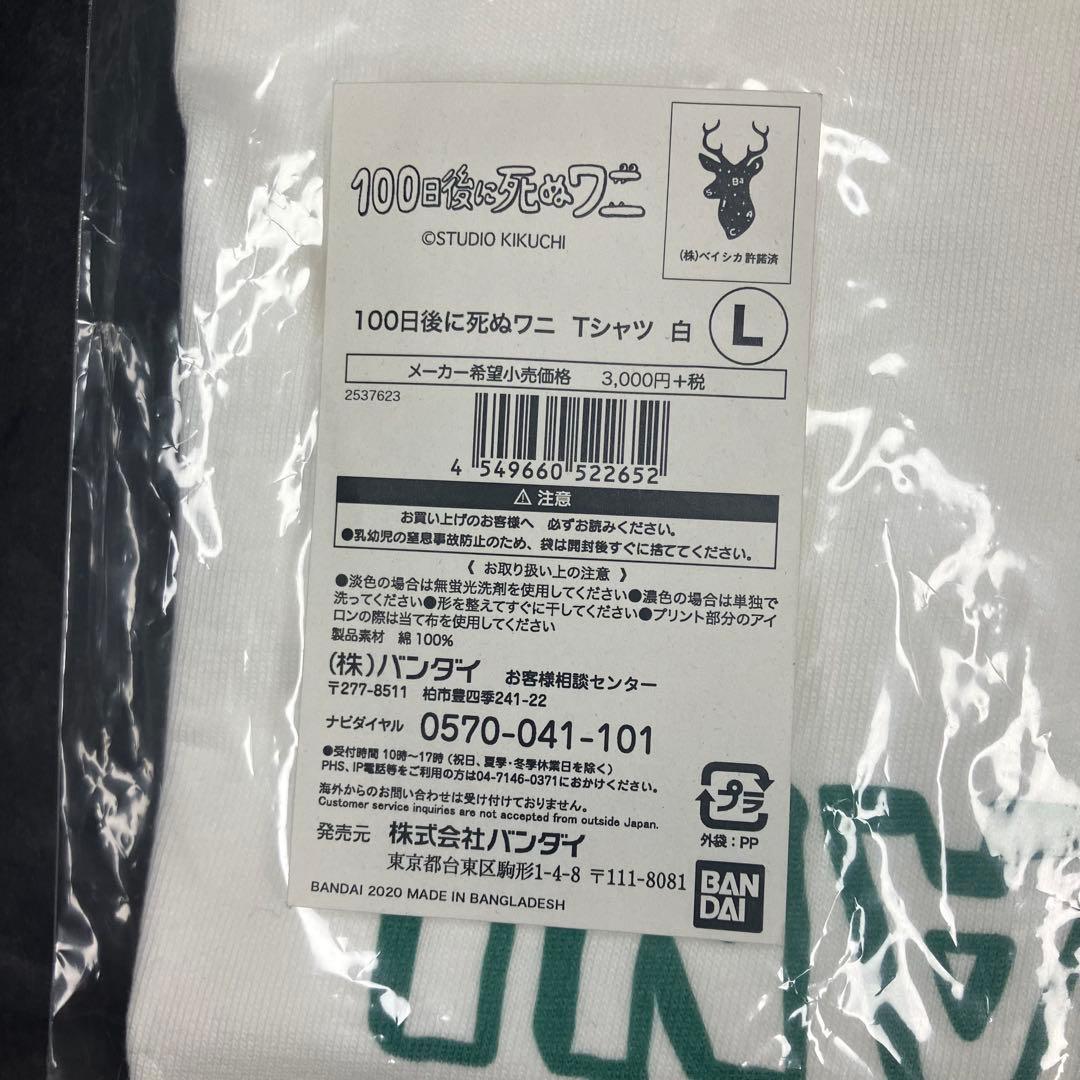 バンダイ　100日後に死ぬワニ　パーカー　Tシャツ　セット　Lサイズ