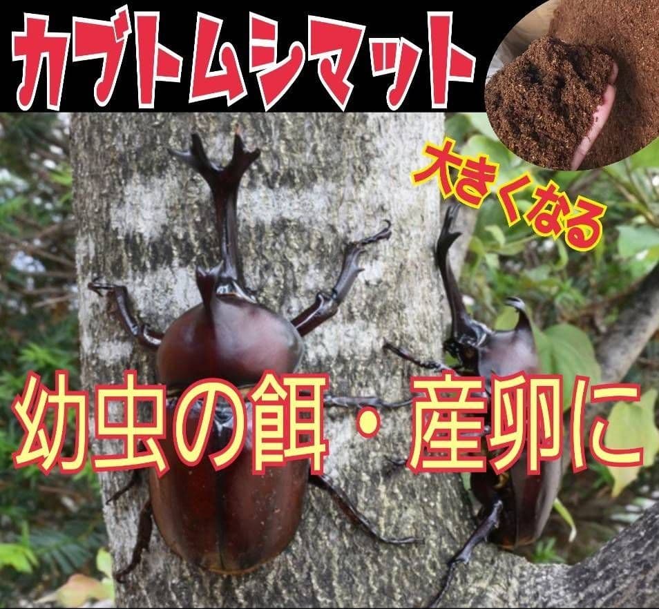 カブトムシ幼虫が大きくなる！発酵マット【たっぷり6袋】雑虫、コバエが湧かない！