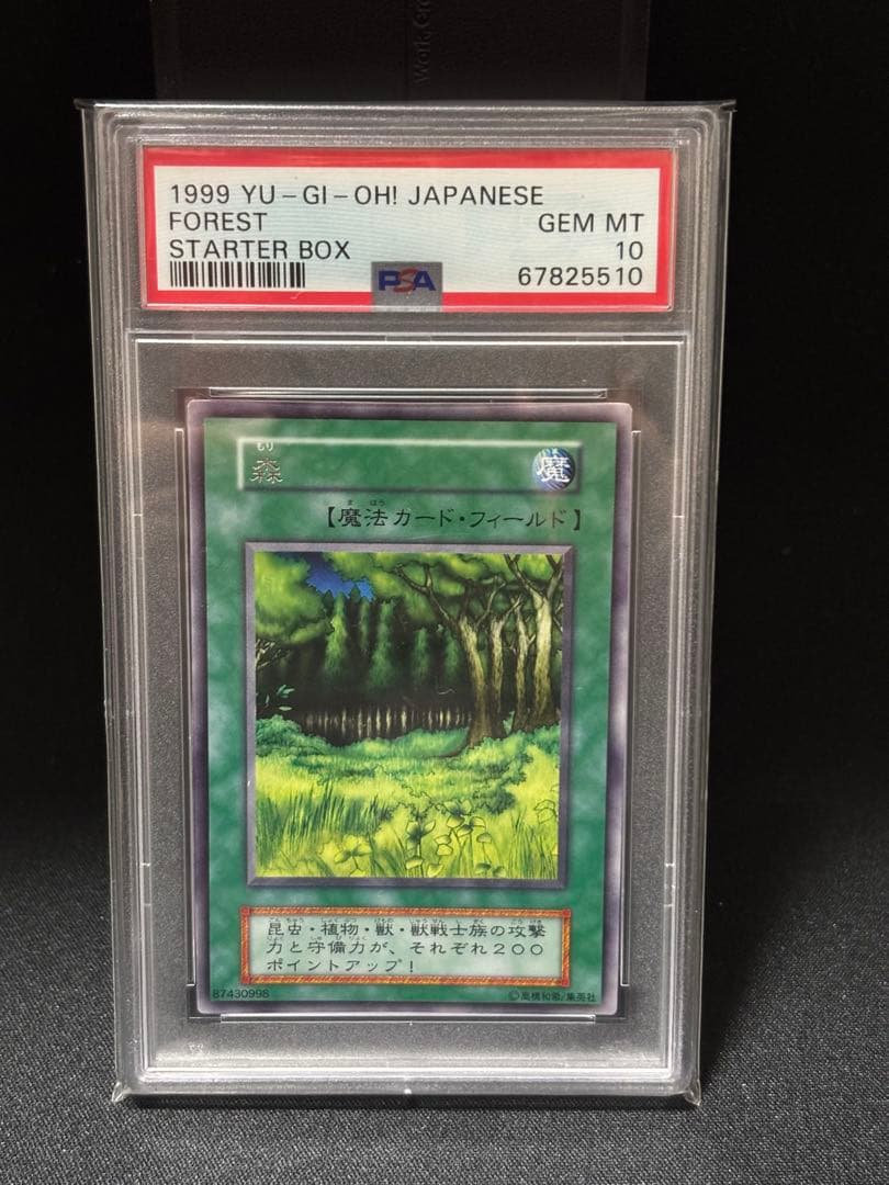 森　レア　PSA10