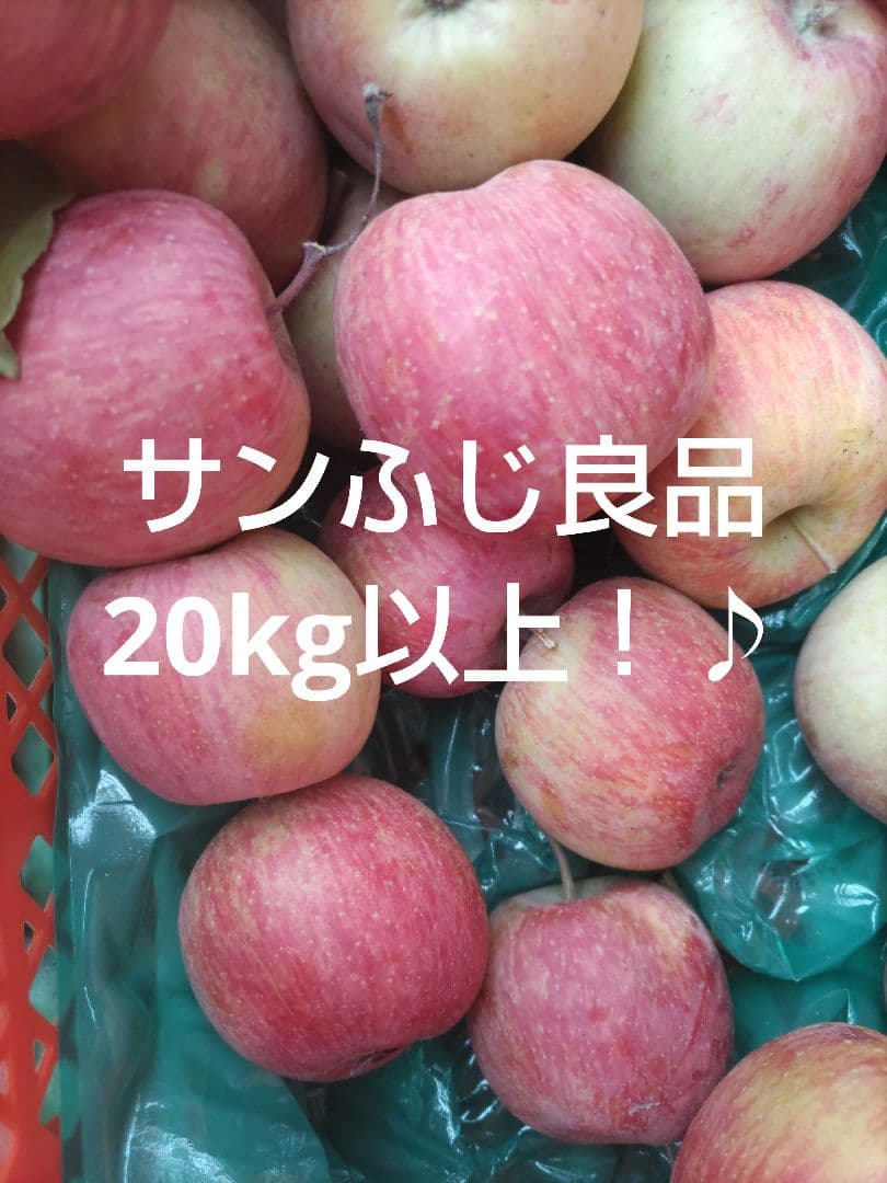 良品 葉取らずサンフジ20kg以上 数量限定 通常価格12500円 劣化防止出荷