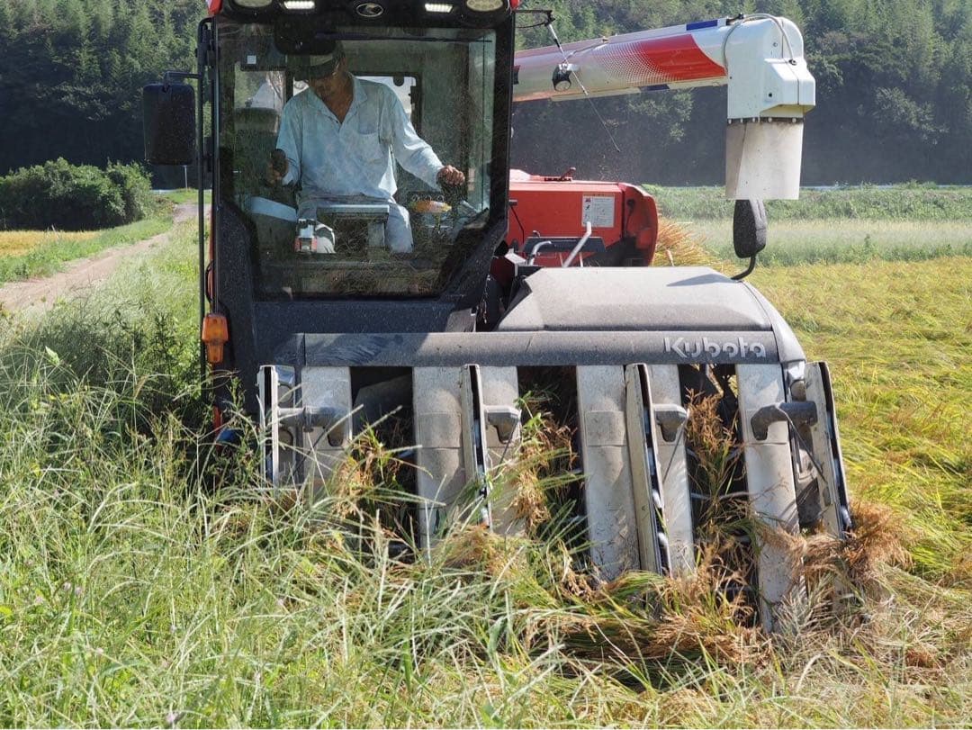 愛知県産 コシヒカリ 白米 20kg