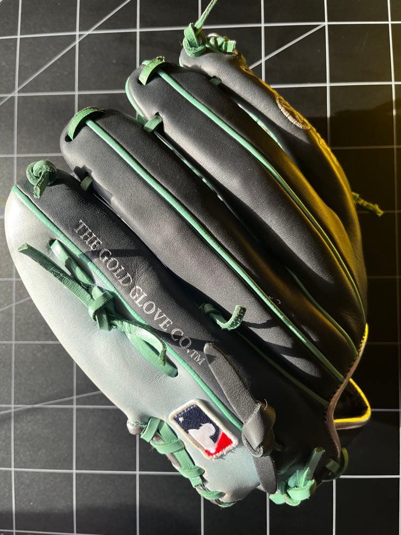 Rawlings 硬式グローブ