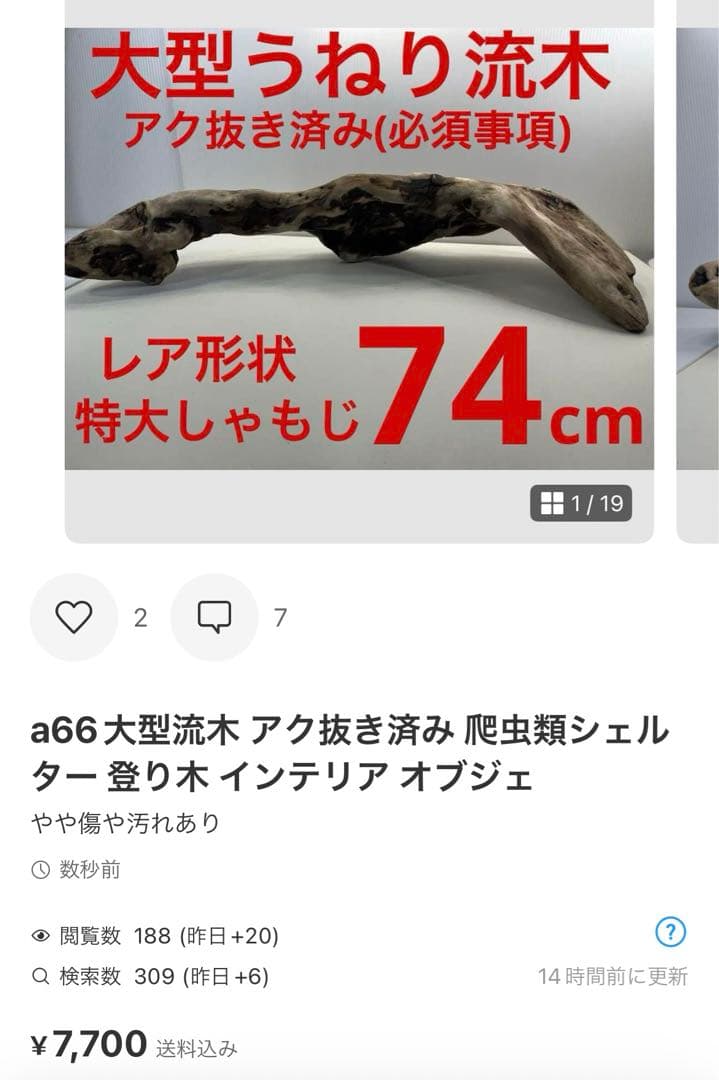 専用品 大型流木 アク抜き済み