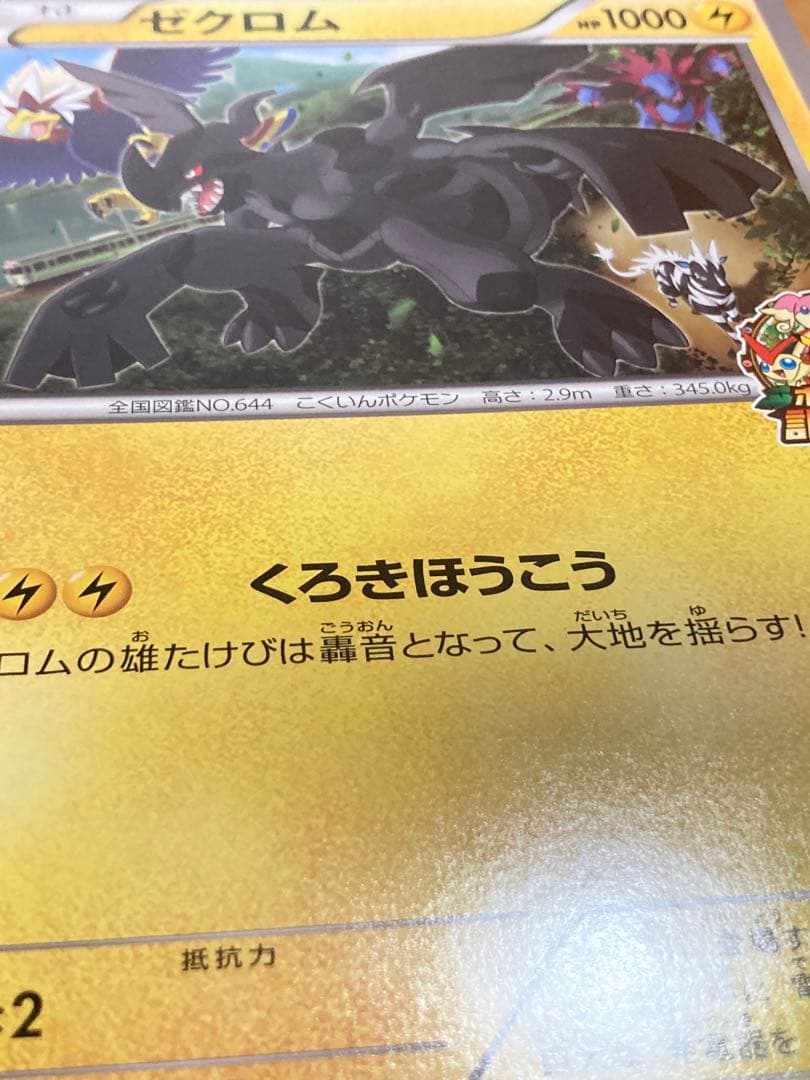 希少　ジャンボカード　ゼクロム jr北海道　ポケモン調査隊2011　プロモ