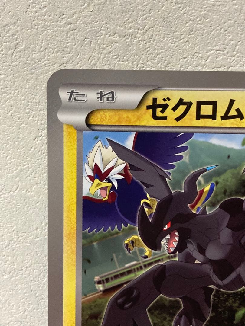 希少　ジャンボカード　ゼクロム jr北海道　ポケモン調査隊2011　プロモ
