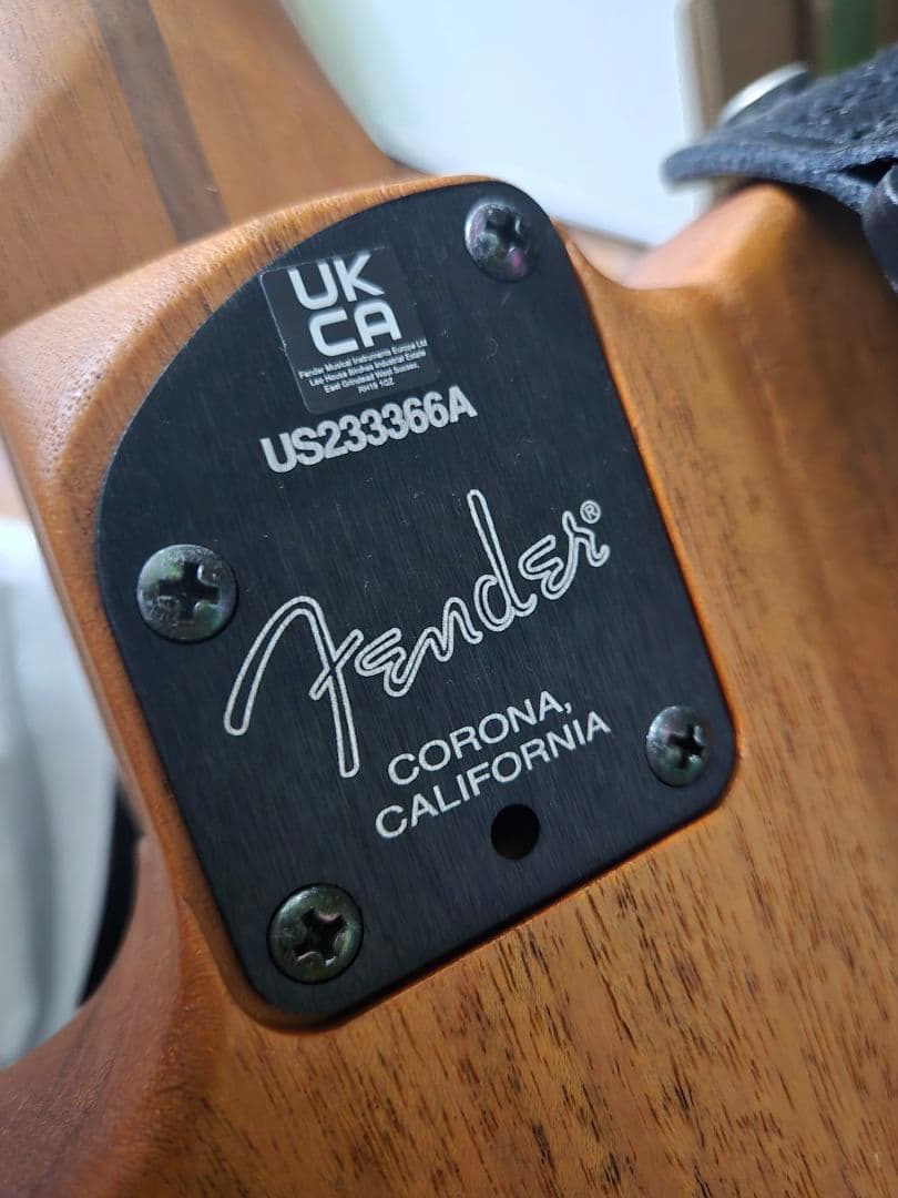 Fender/USA acostasonic アコスタソニック ハードケース