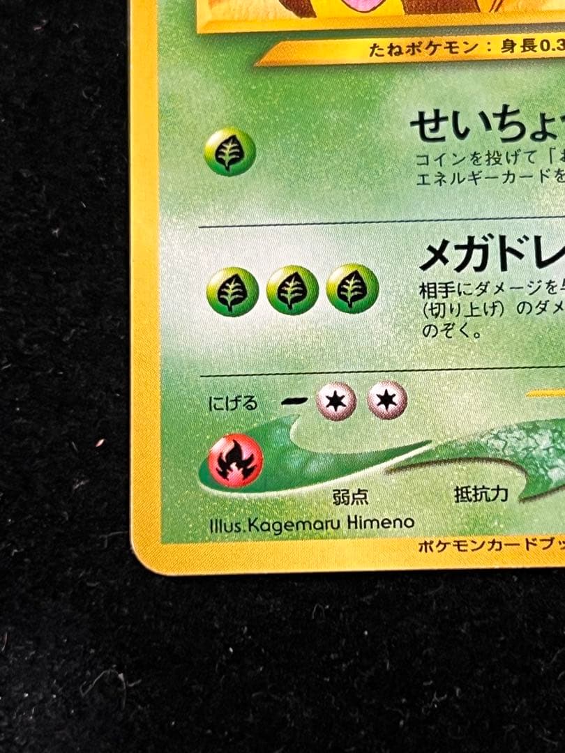 【美品〇】ポケカ　Pokéca 旧裏　ヒマナッツ　ポケモンカードになったわけ