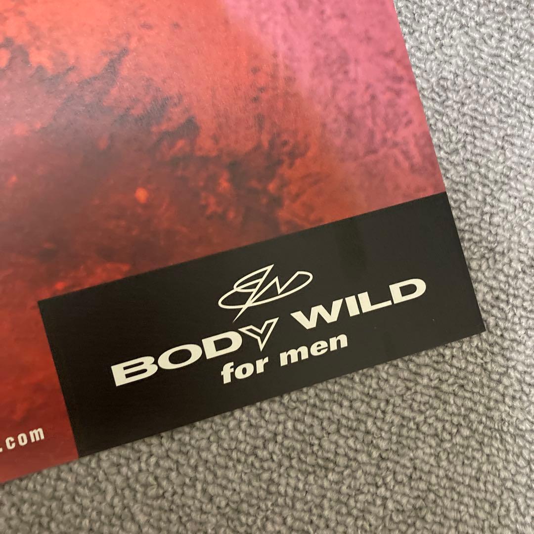 井川遥　BODY WILD FIT BOXER ポスター　美品　グンゼ　赤　２