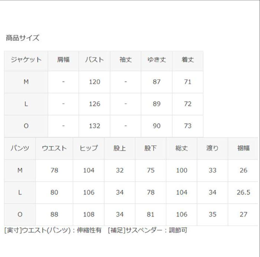 極美品　デサント　ムーブスポーツ　スキーウェア　上下セット　DESCENTE