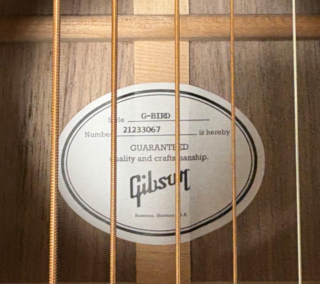 美品 Gibson G-BIRD エレアコ アコースティック ナチュラルカラー