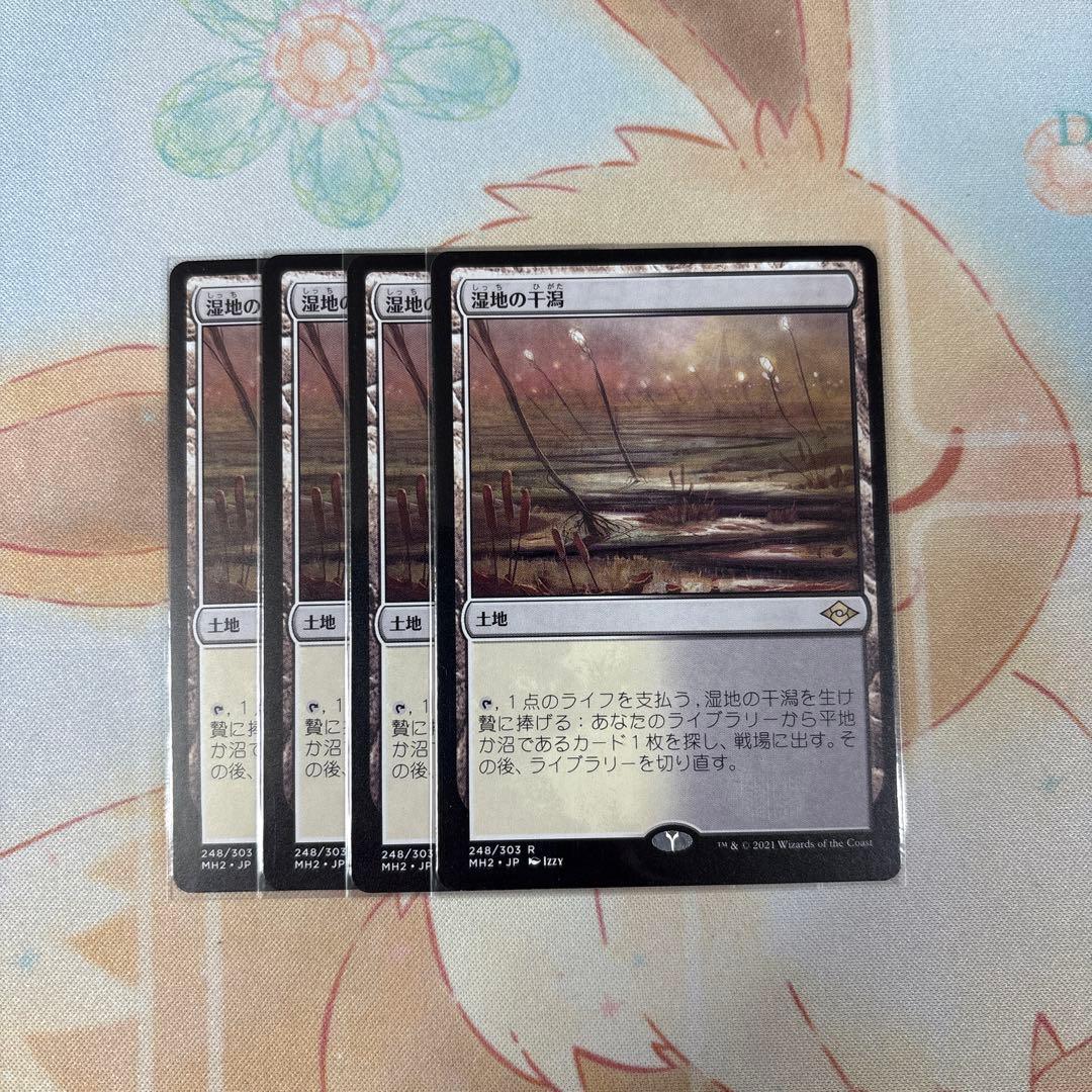 MTG 湿地の干潟 4枚