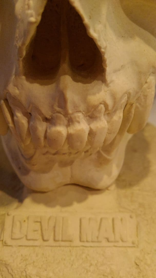 激レア　フューチャーモデルズ　デビルマン　スカル　1/1  佐川博士　制作途中品