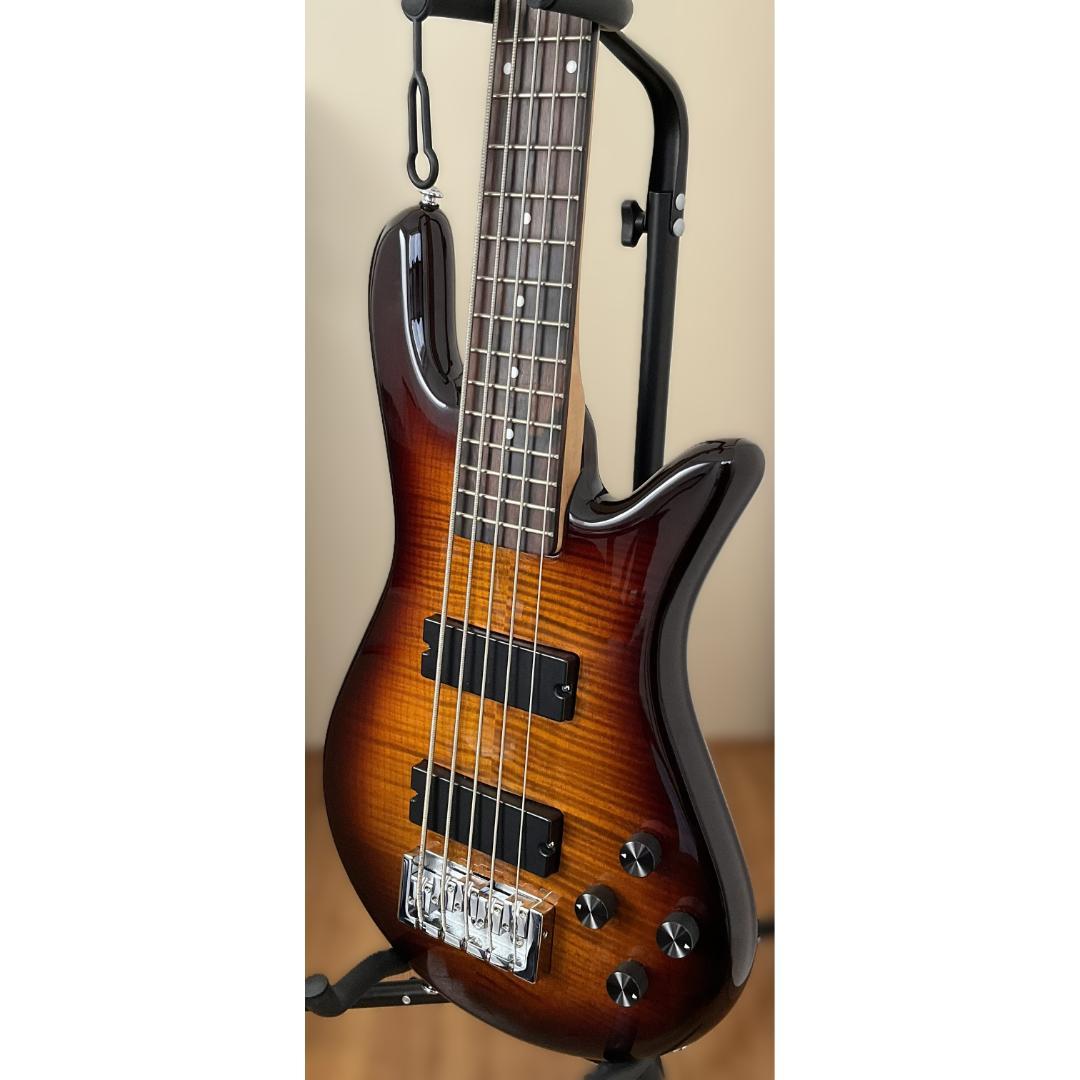 【美品・送料込】Spector 5弦ベース