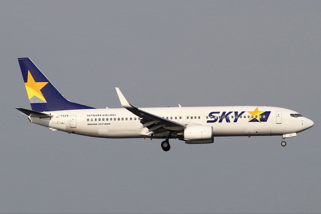 1/200 スカイマーク B737- 800 旅客機（ダイキャスト）