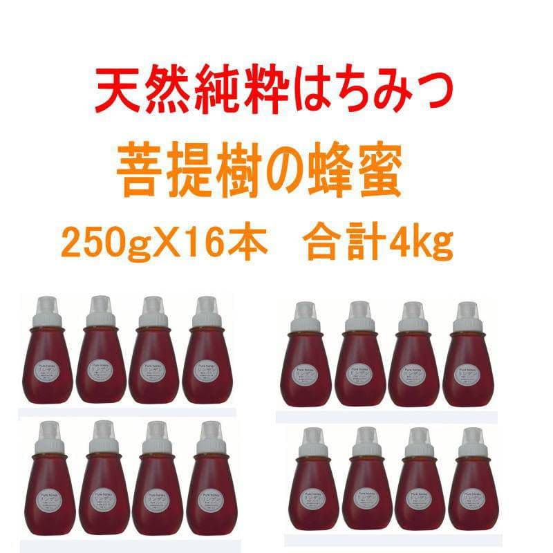 専用出品★天然純粋はちみつ100%菩提樹の蜂蜜16本