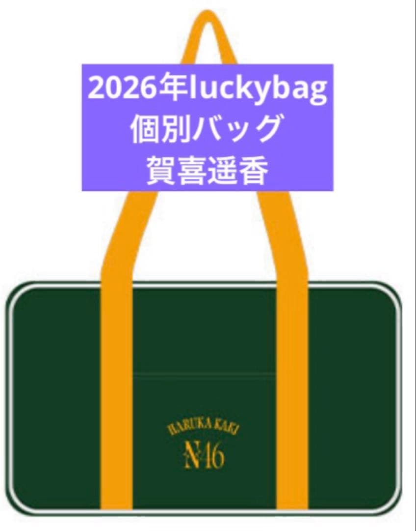 乃木坂46　限定 個別バッグ　バック　2026 luckybag 賀喜遥香