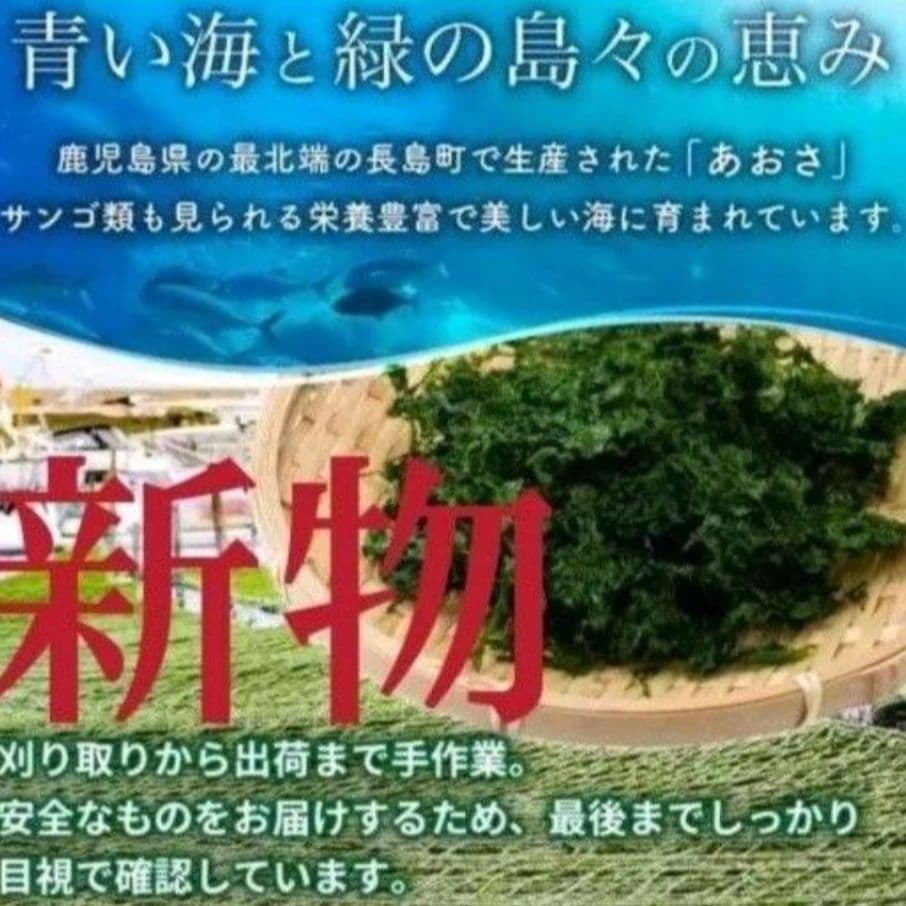 鹿児島県長島町産あおさ あおさのり 海苔 乾燥あおさ あおさ (ひとえぐさ)
