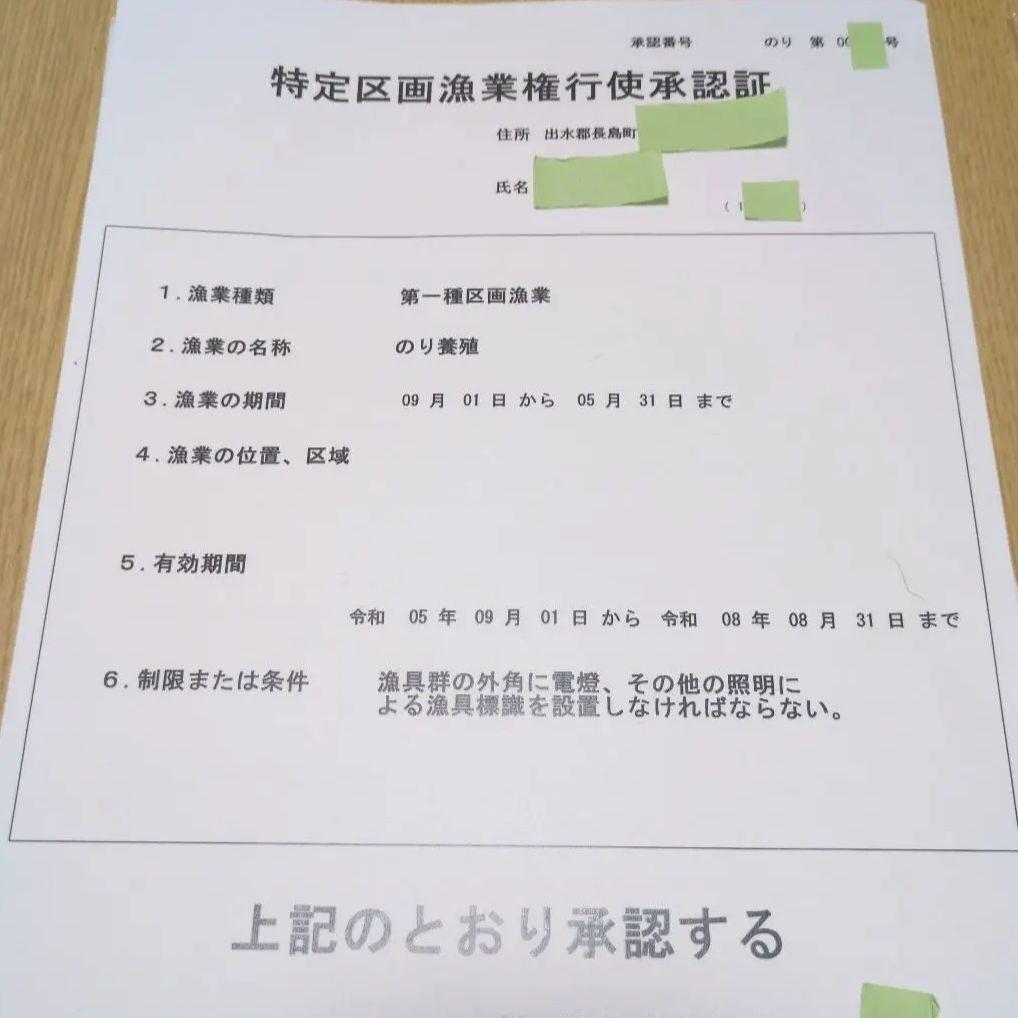 鹿児島県長島町産あおさ あおさのり 海苔 乾燥あおさ あおさ (ひとえぐさ)