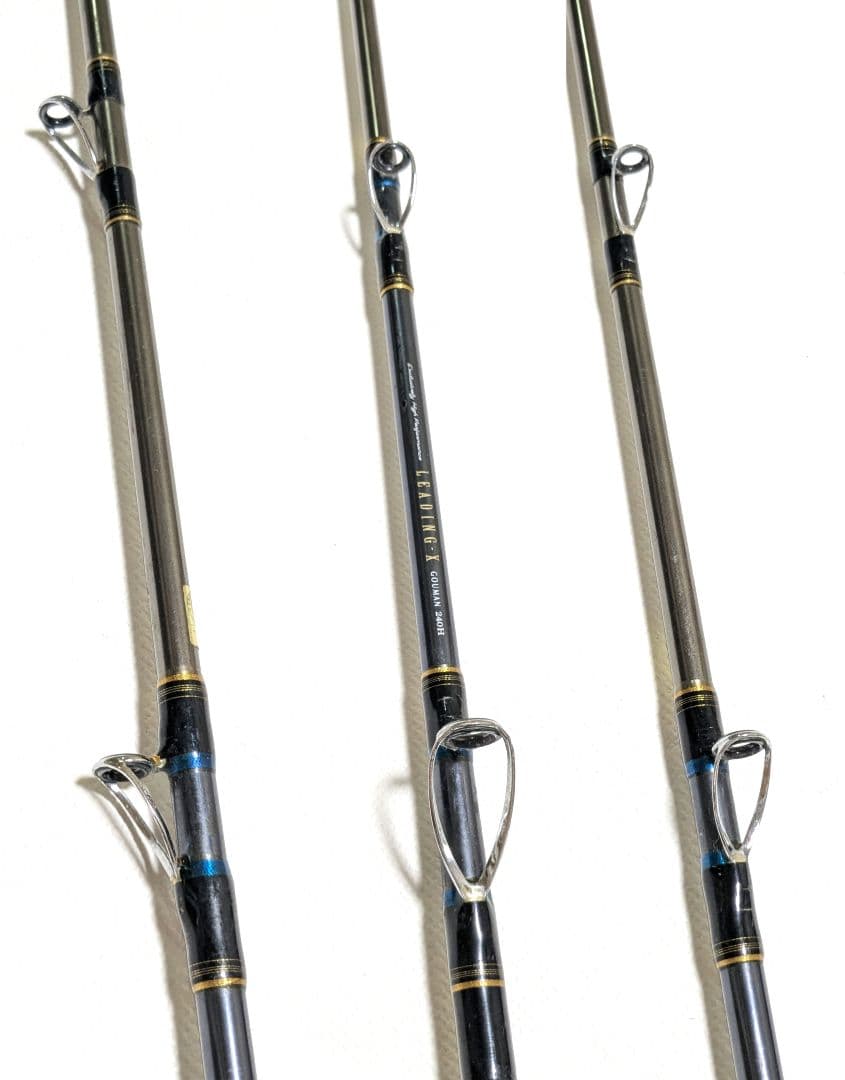 Daiwa リーディングX ゴウマン 240H