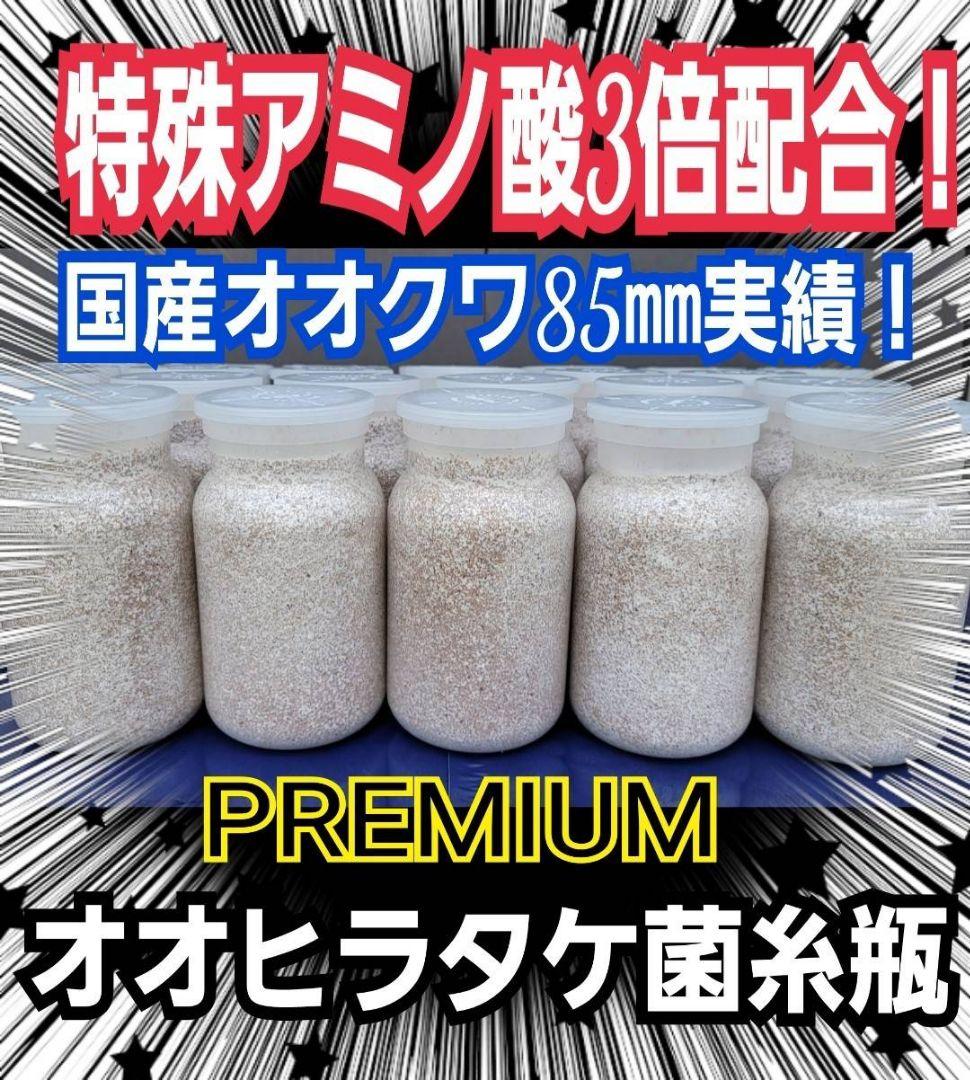 極上！オオヒラタケ菌糸瓶1100ml【8本】トレハロース、キトサン強化配合