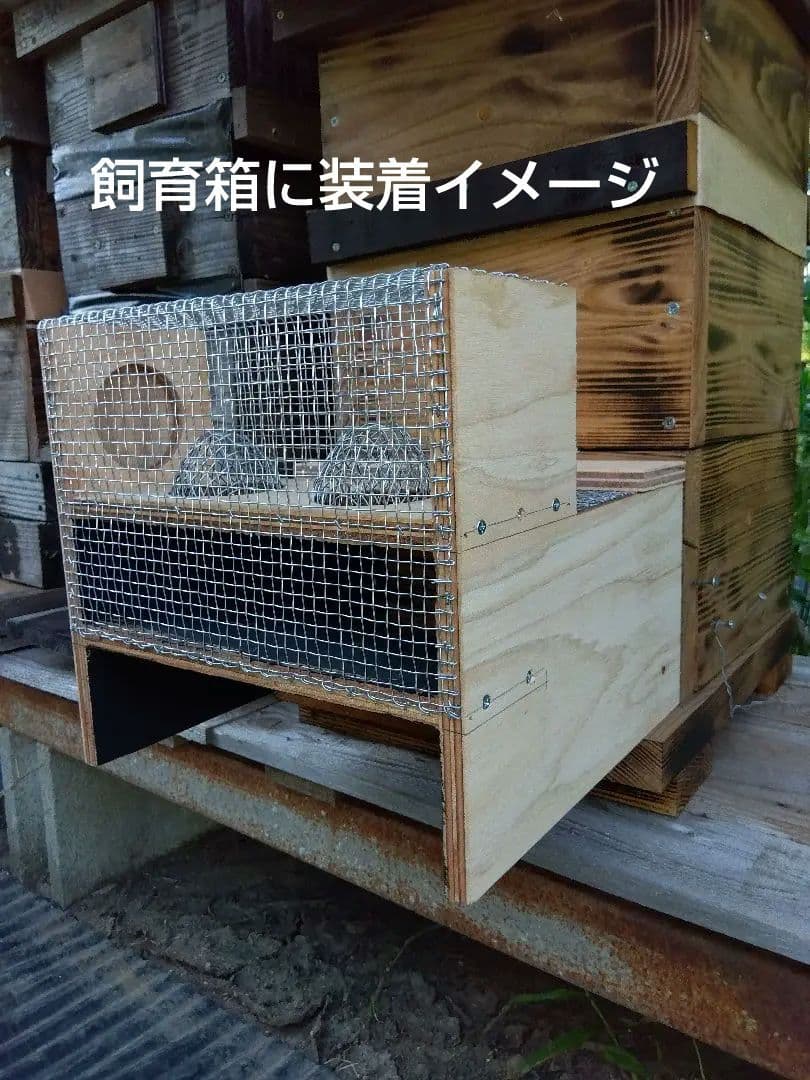 スズメバチ捕獲器 ２個売り 別名 スズメバチ生捕器