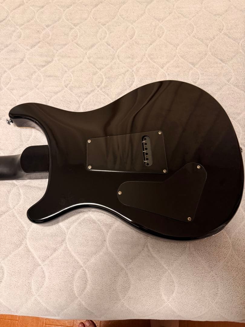 さぼてん様 PRS SE custom ポールリードスミス